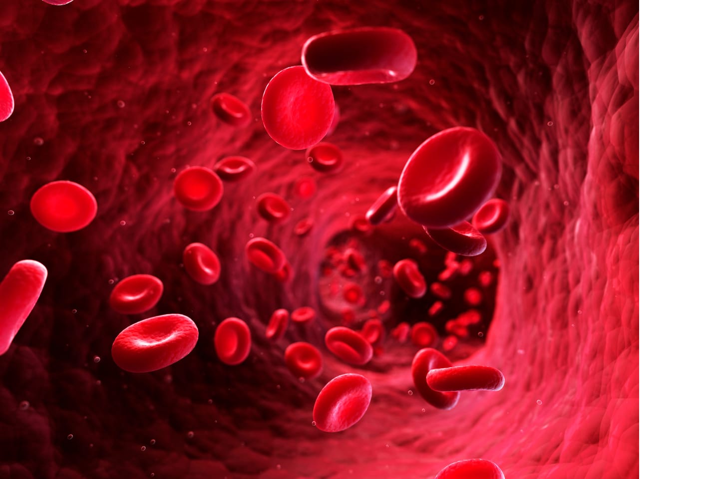 Blood Types and Transfusion in Domestic Animals – VETEXPLAIN